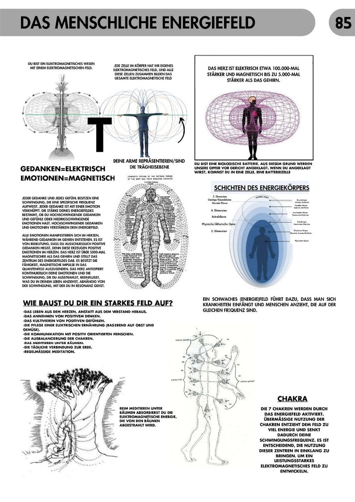 Buch der Weisheit Taschenbuch - Deutsch